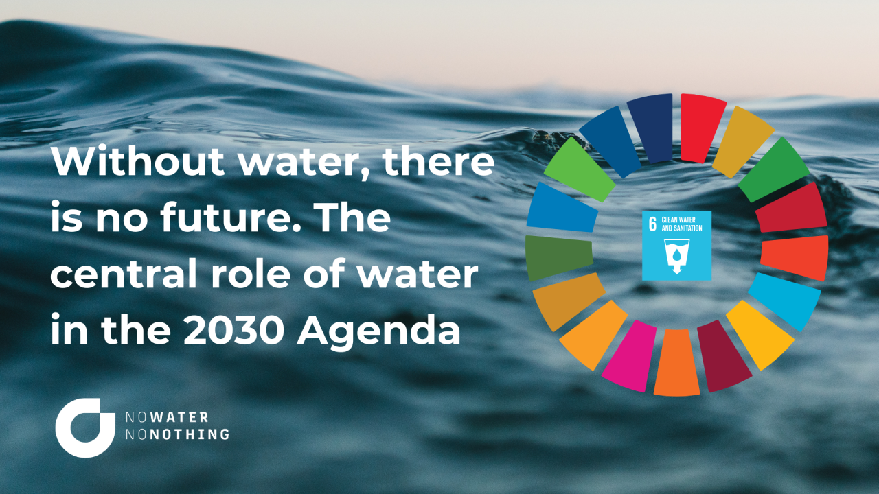 Vision 2030: Role of Water